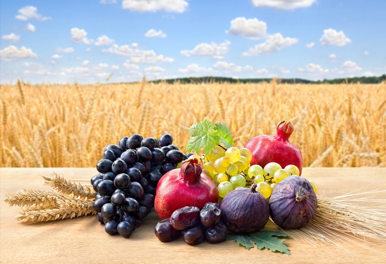 Al Hamichya: Understanding the Hebrew Blessing for Sustenance