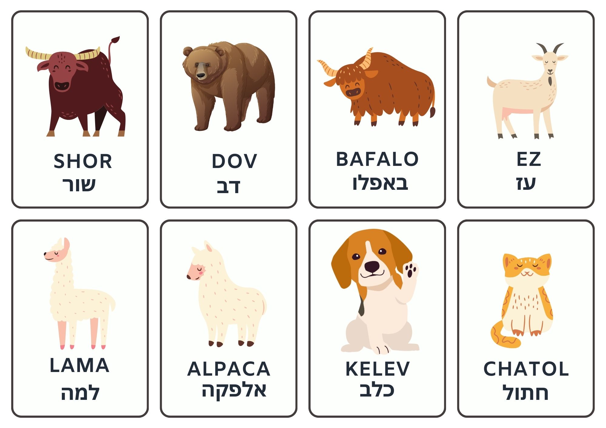 Learn how to say the animals name in Hebrew
